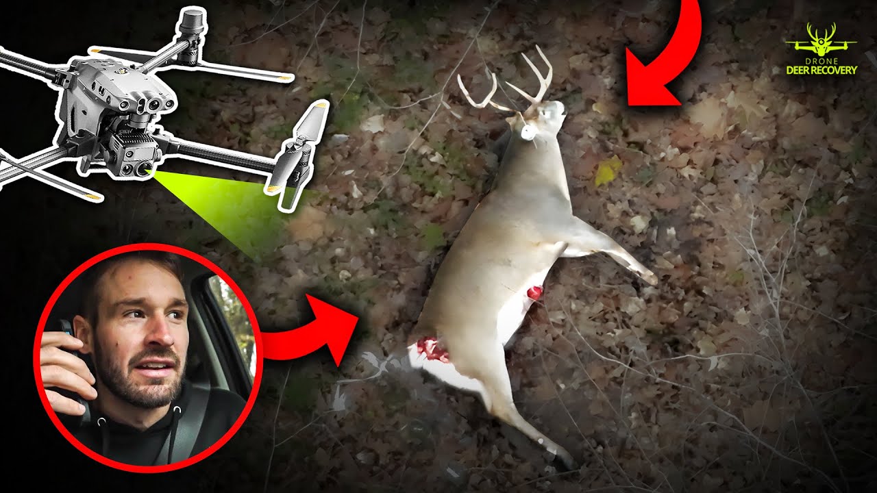 Most Insane! Drone Deer Recovery Morning Ever: not clickbait - YouTube