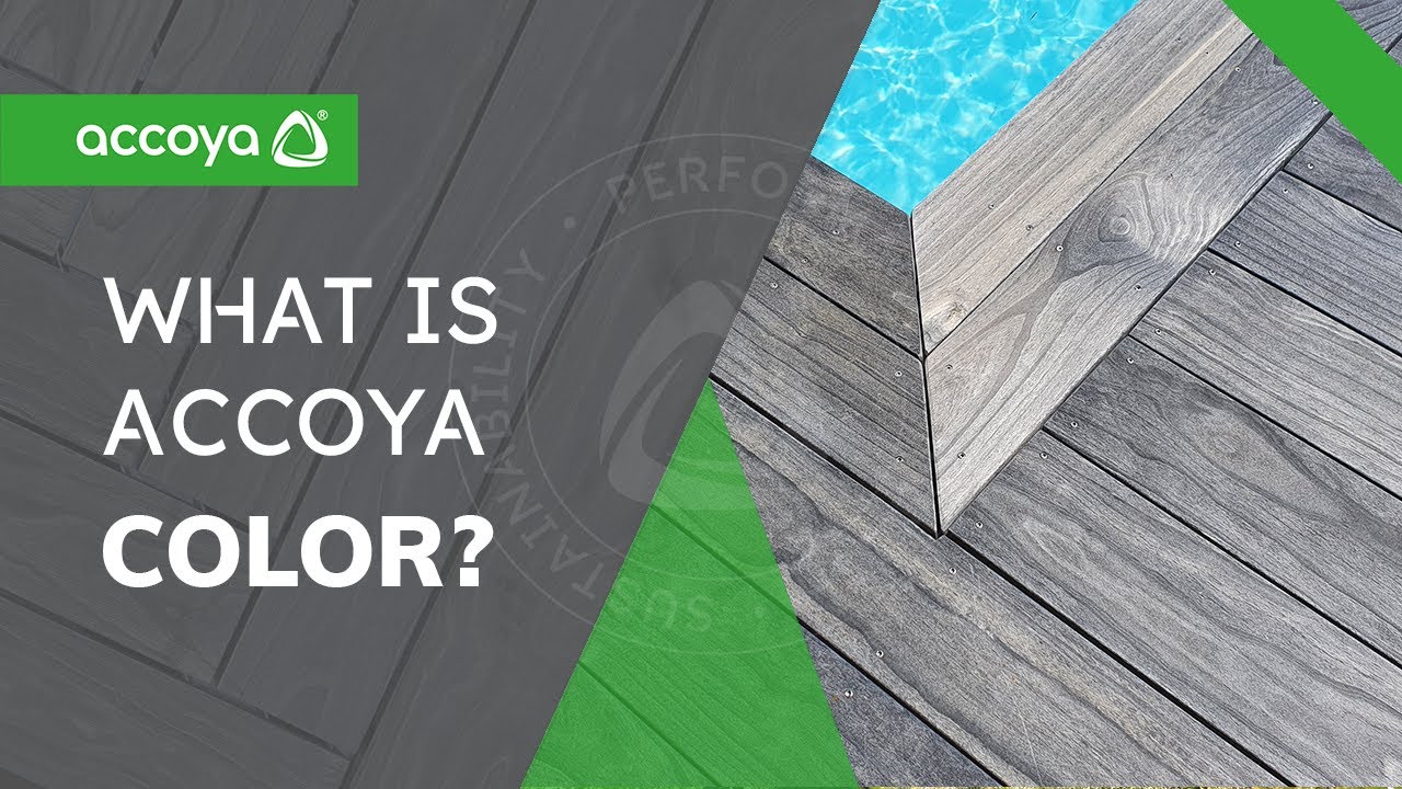 Introducing Accoya Color | What to expect from this new product - YouTube