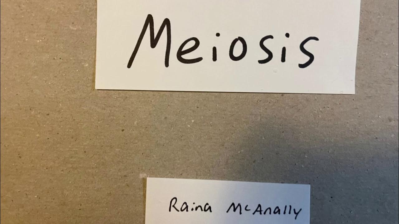 AP Bio Meiosis Stop Motion Video - YouTube