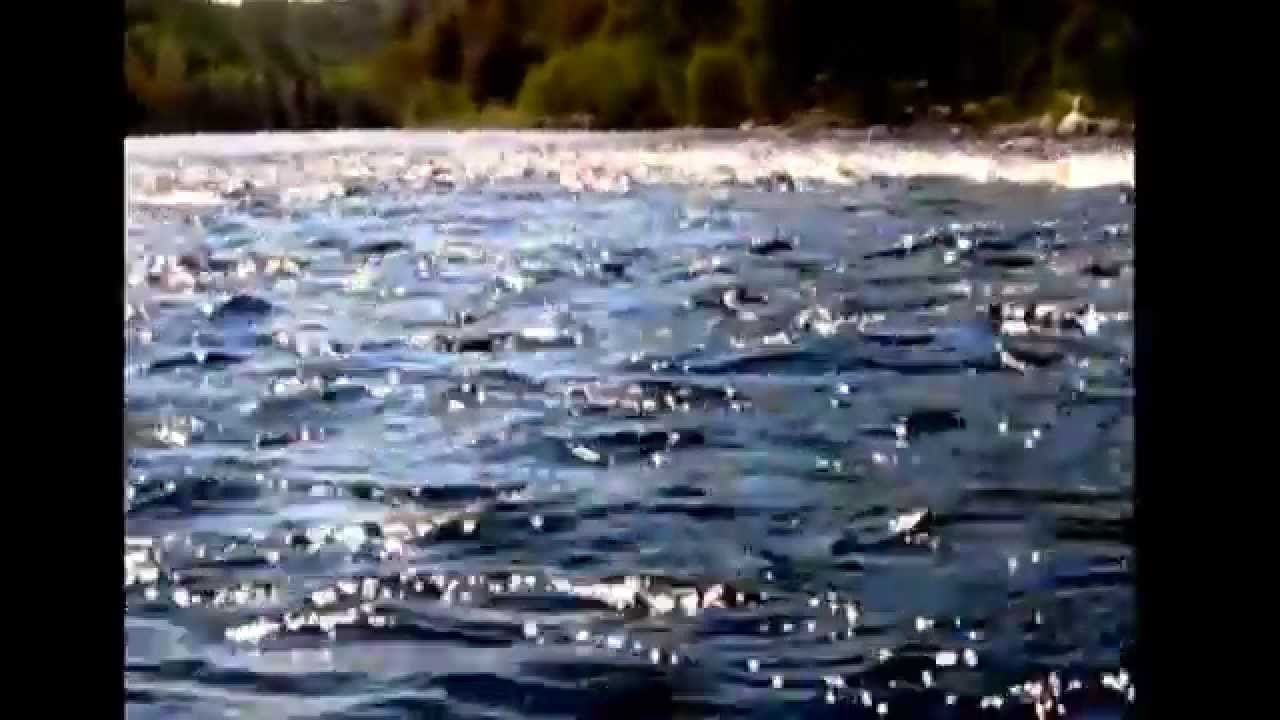 Canoeing the Coulonge River QC 2010 - YouTube