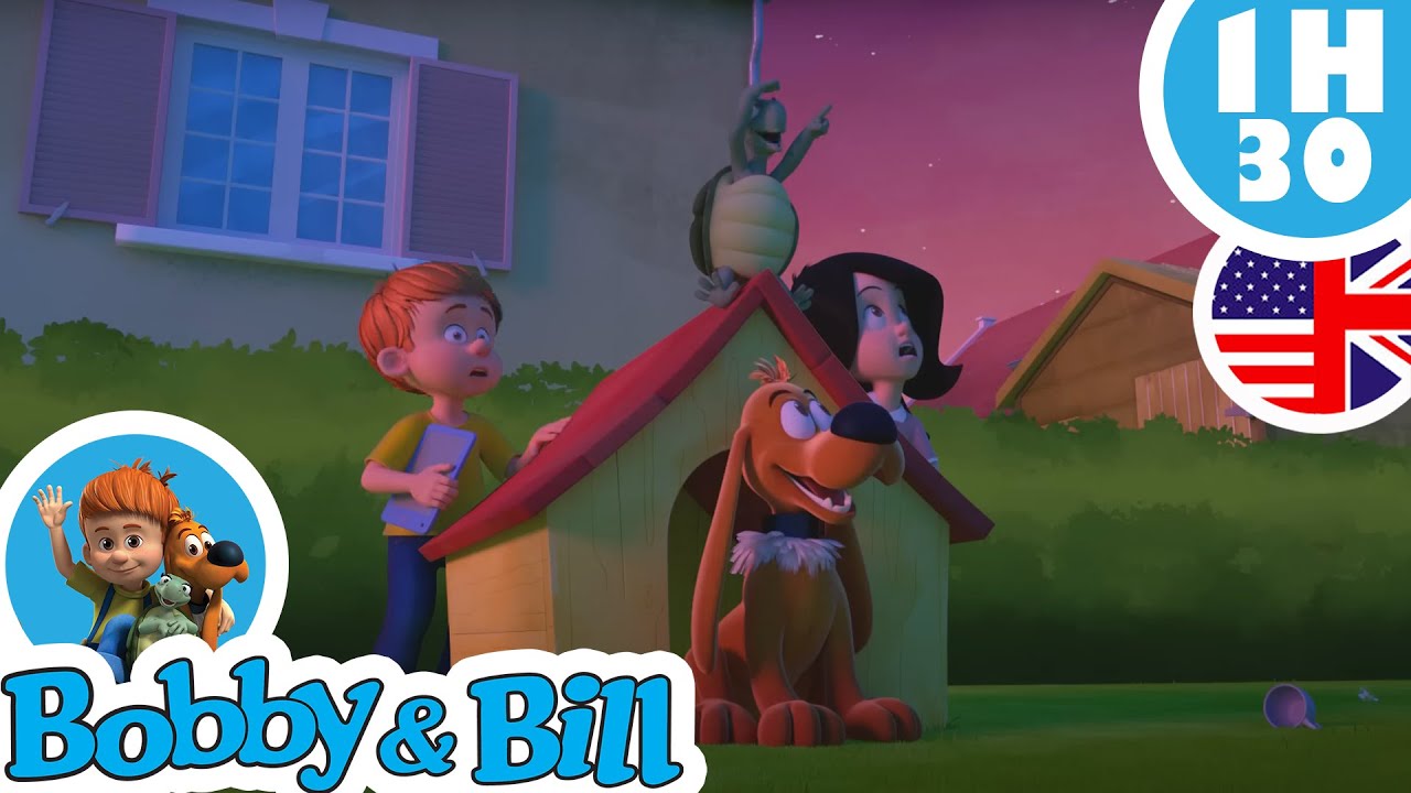 🌟 Bobby and Bill admires the stars 🔭 - Bobby and Bill New Compilation ...