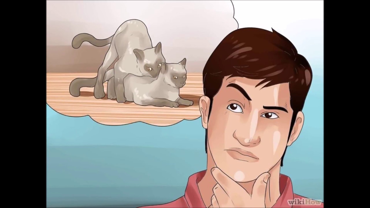 Wikihow Art showcase No.1 - YouTube