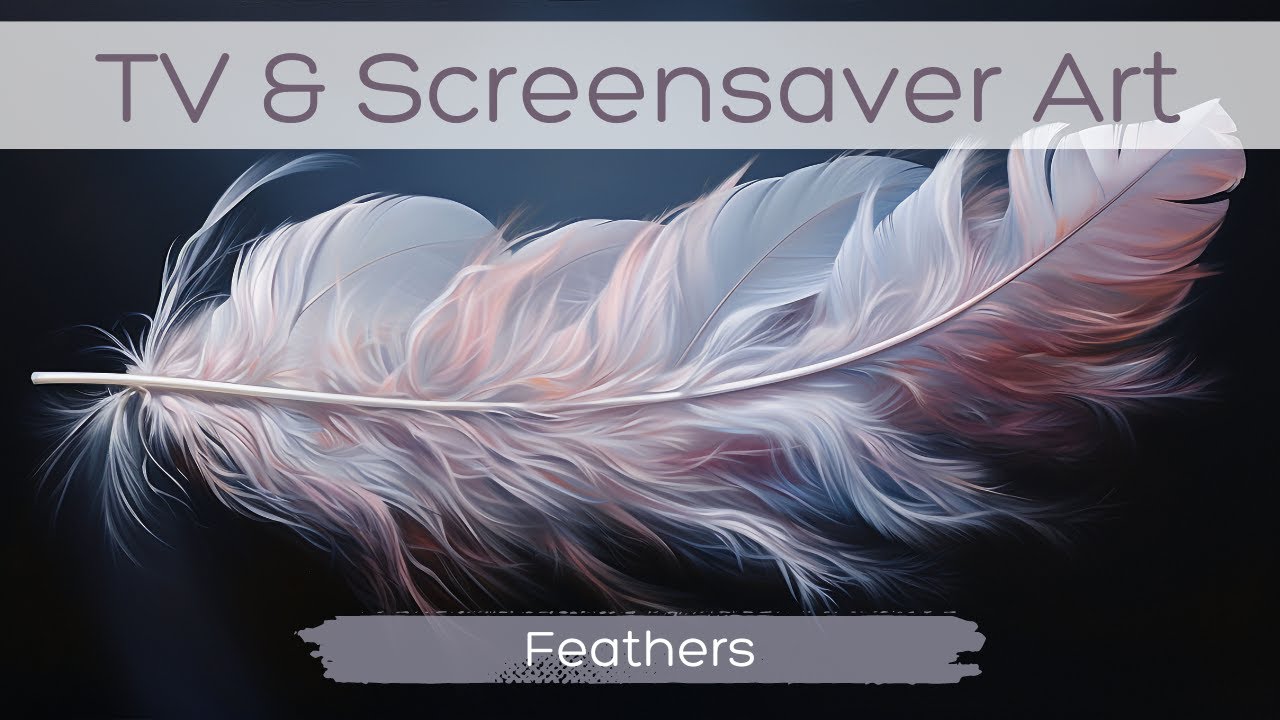 TV & Screensaver Art: Feather Art Screensaver | 4 images 2 hrs w/out ...