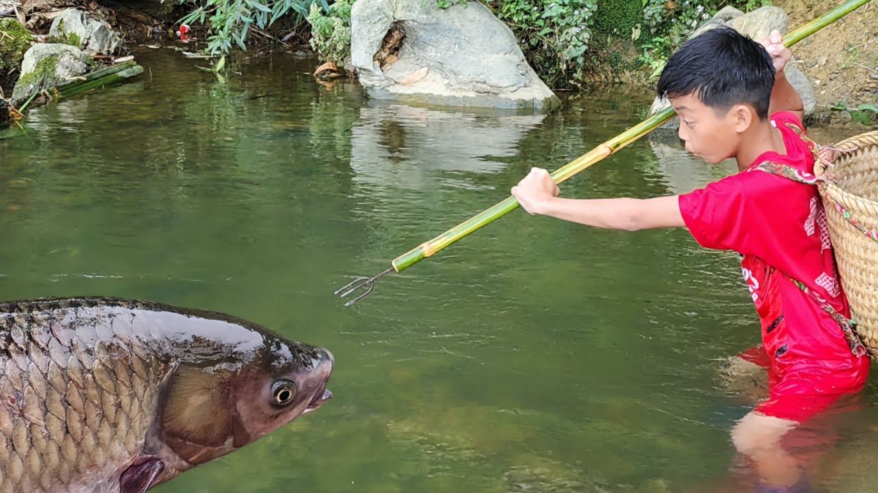 Harvesting beans, Bac_wandering boy used primitive skills to catch big ...