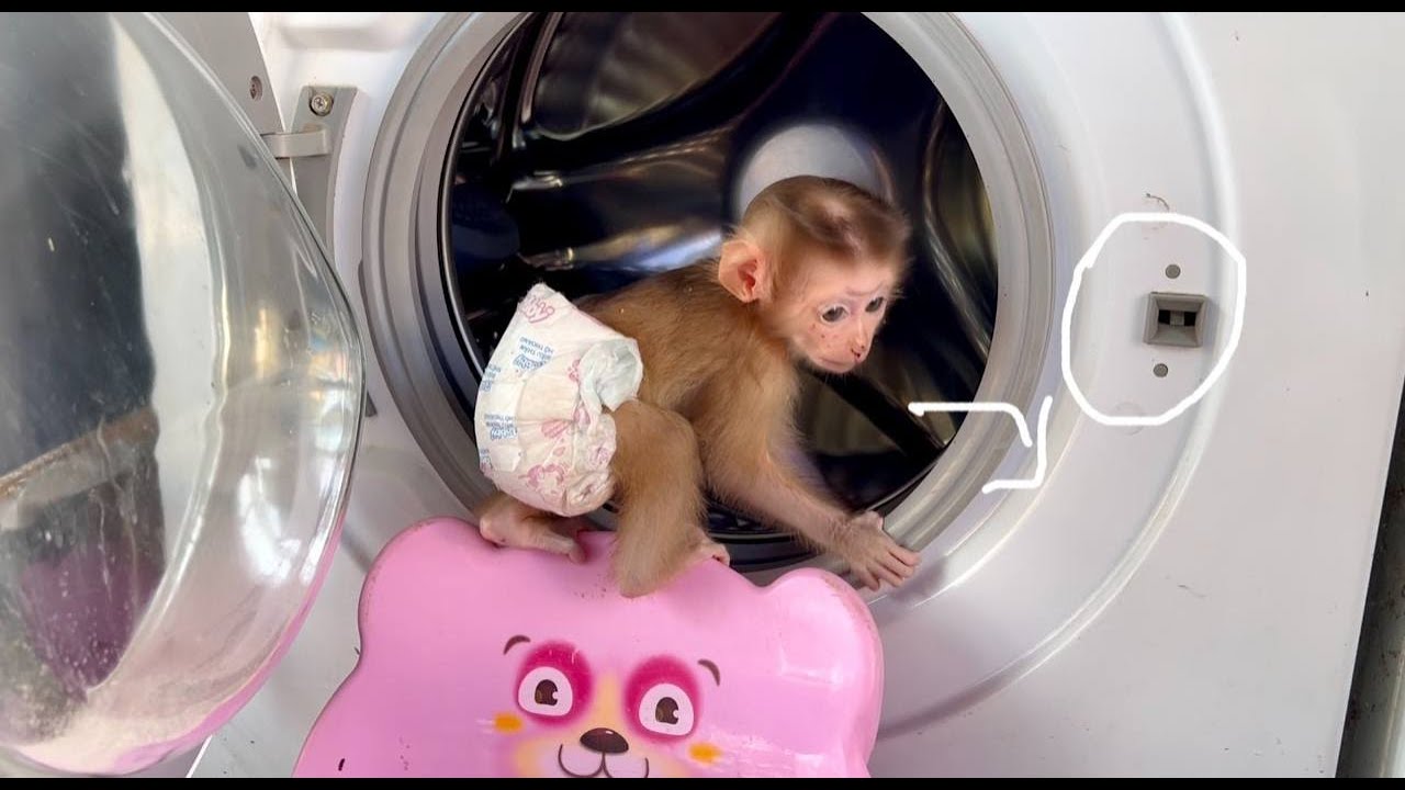 Ms Jazzy 0n her Big Work Role as A washing girl in the House. - YouTube