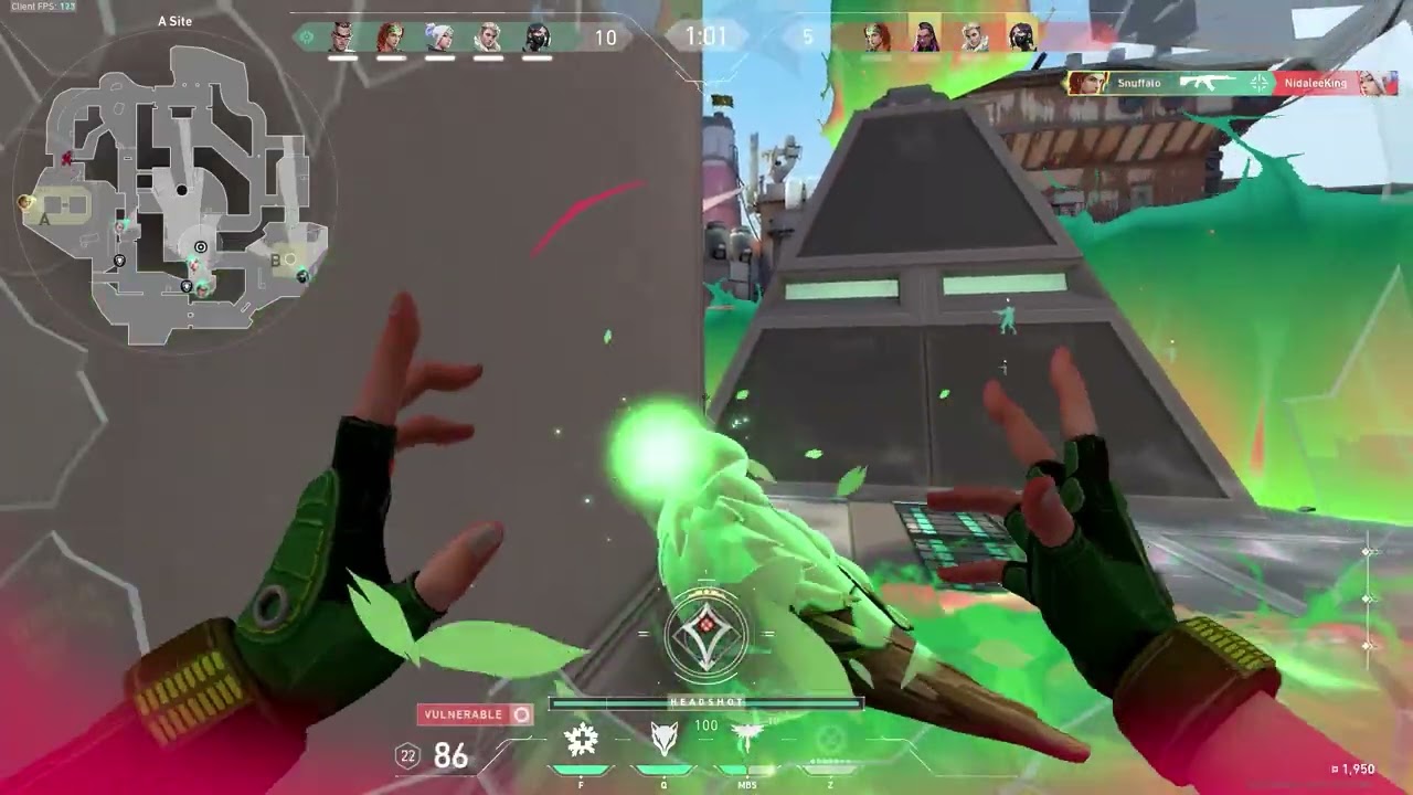 Snuffalo x Zephyr VALORANT - YouTube