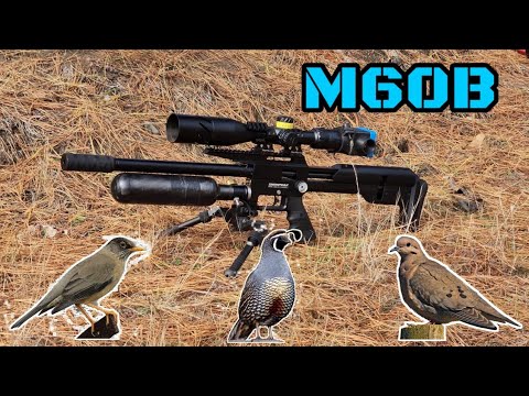 CACERIA PLUMA / T 2024 / PCP / CAZA / M60B / PR900 / CANAL PUNTO 22 ...