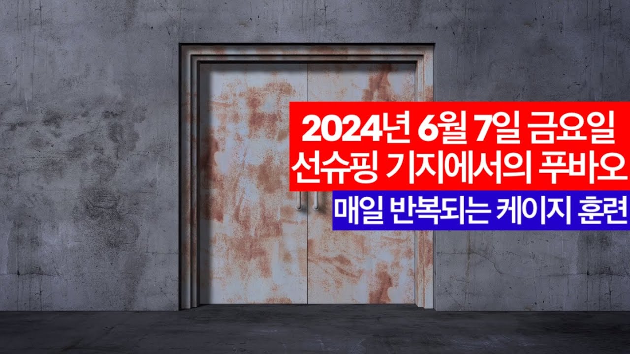 푸바오, 6월 7일자 소식 #fubao #福宝 #福寶 - YouTube