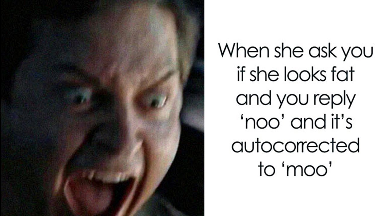 Hilarious and Quirky Memes to Lift Your Spirits - YouTube