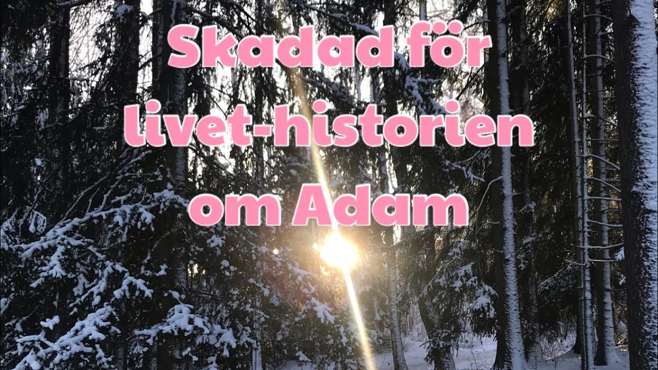 Skadad för livet - historien om Adam - YouTube