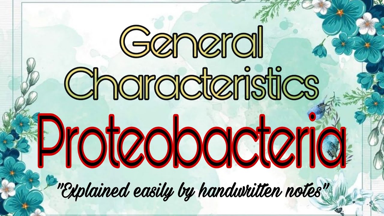 PROTEOBACTERIA l General characteristics l Hindi+English l Neha sheikh ...