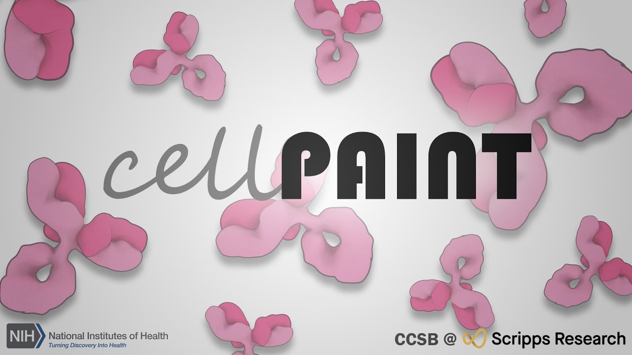 cellPAINT 2D Quick Start Video - YouTube