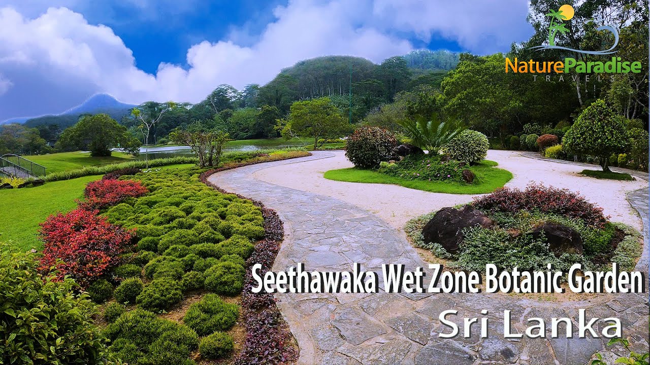 Seethawaka Wet Zone Botanic Gardens , Sri Lanka - YouTube