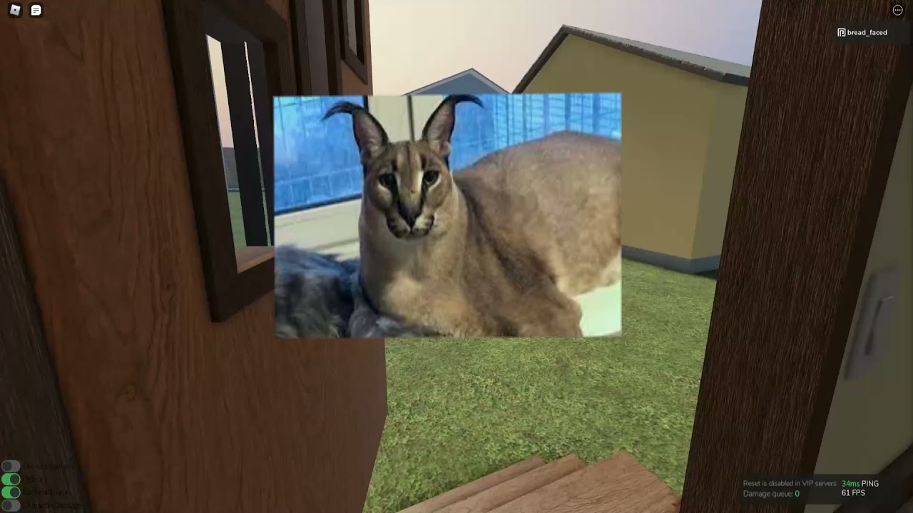 big floppa horror - YouTube