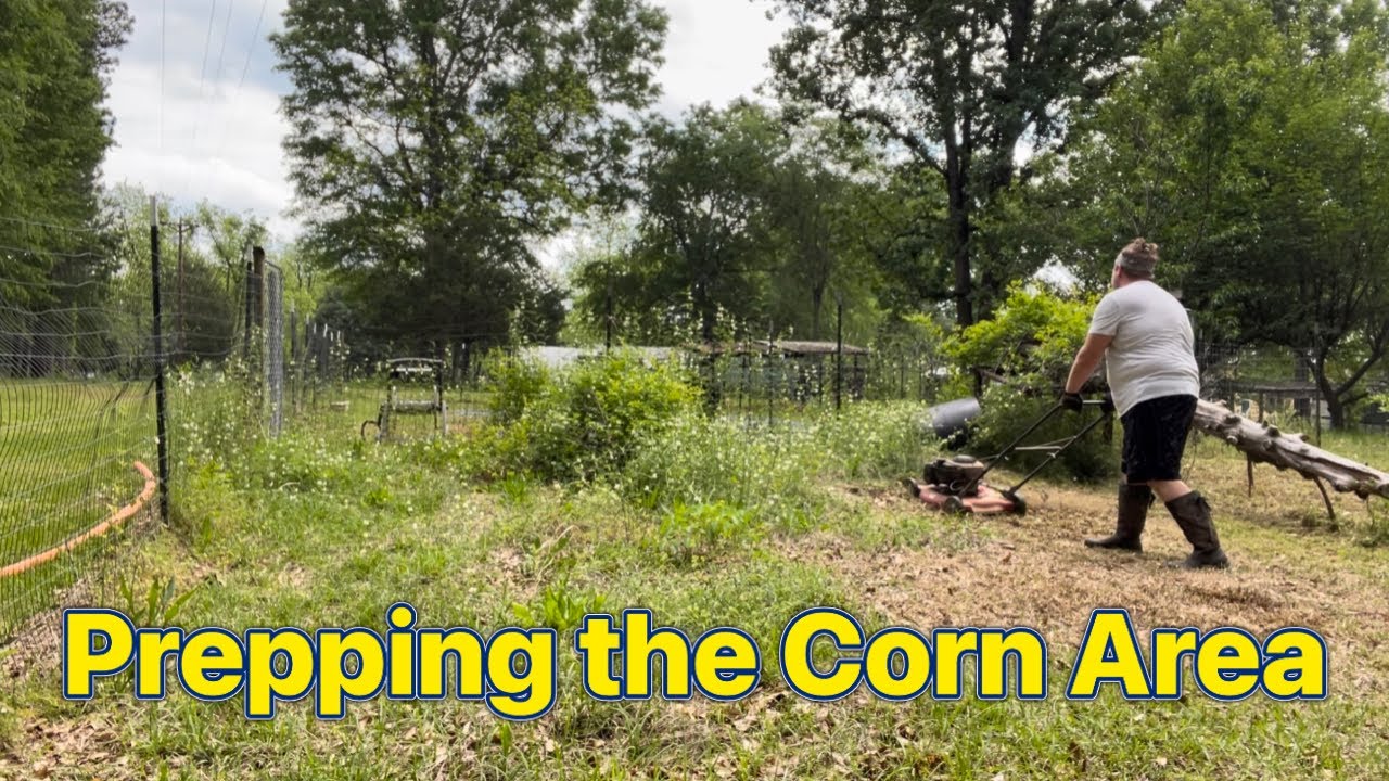 Prepping the corn area // #garden2023 - YouTube