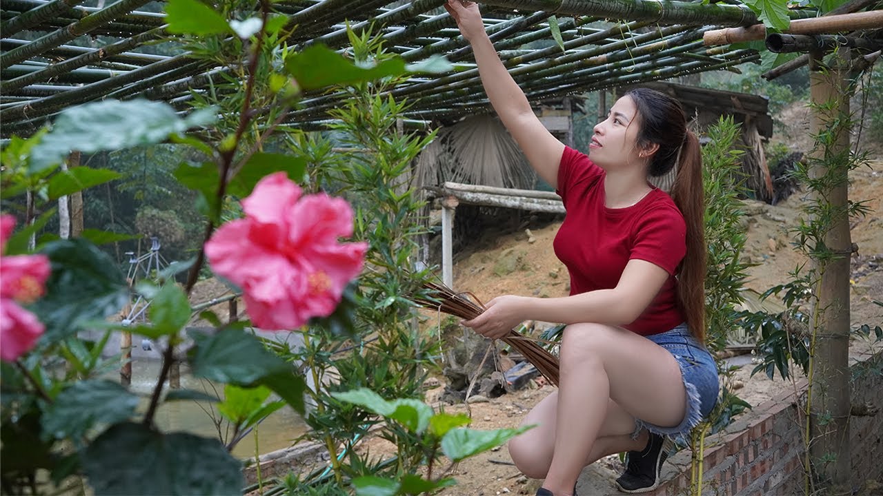 #249: Making gourd trellises and luffa trellises alone, cooking and ...