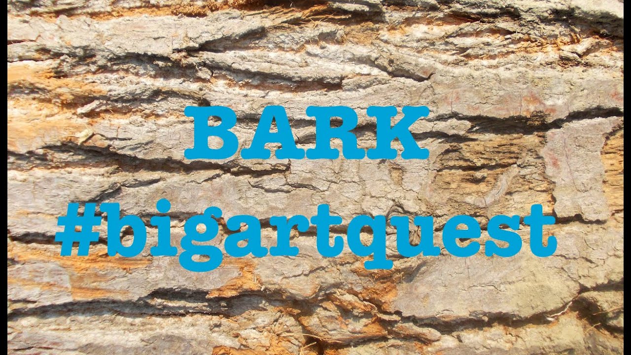 How To Paint Bark And Wood Clinic bigartquest 26 YouTube how-to-paint-bark-and-wood-clinic-bigartquest-26-youtube