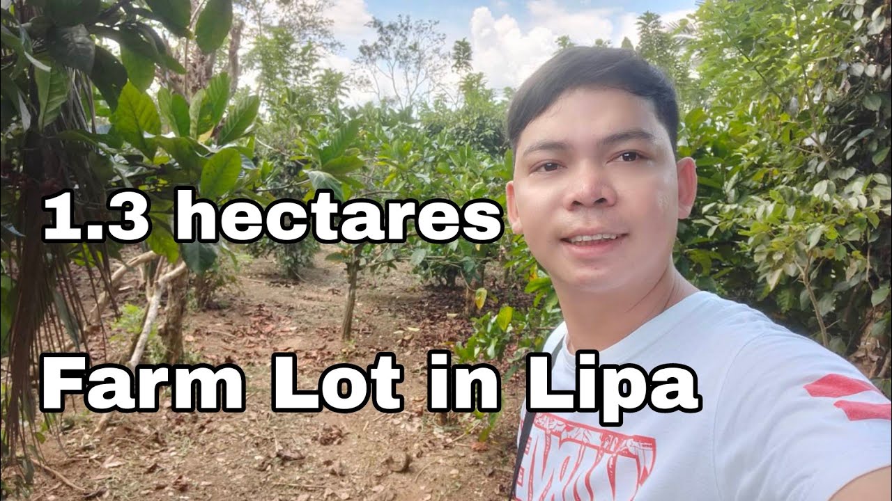 1.3 Hectares Farm Lot for sale in Lipa City - YouTube