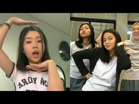 Compilation Tik Tok - Viral [Cewek Cantik] indonesia