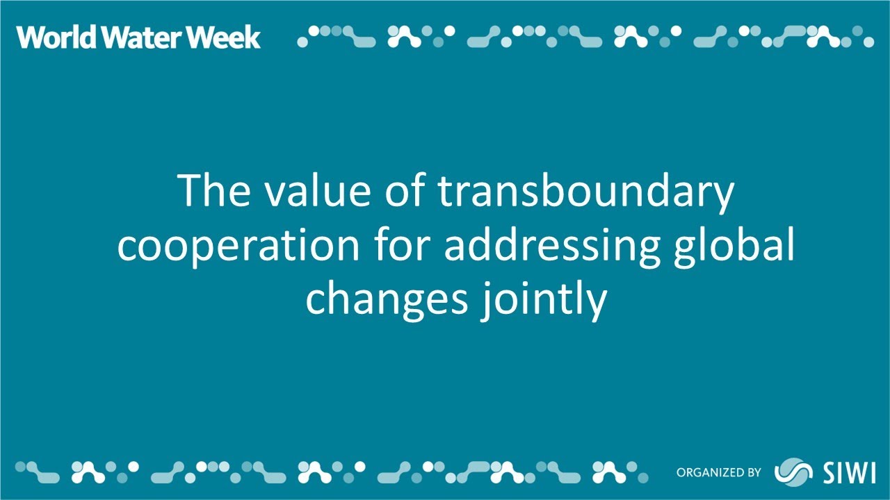 The value of transboundary cooperation for addressing global changes ...