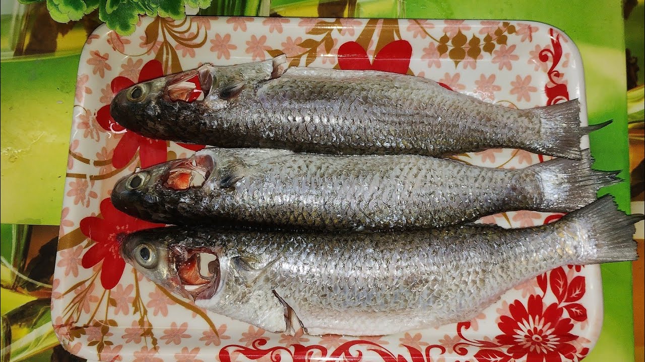 Parshe Fish recipe | Shorshe Posto Diye Parshe Fish Curry at home by ...