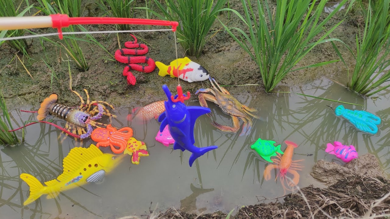 MAINAN ANAK - MEMANCING MAINAN IKAN, IKAN KOI ASLI, IKAN MAS, IKAN HIAS ...