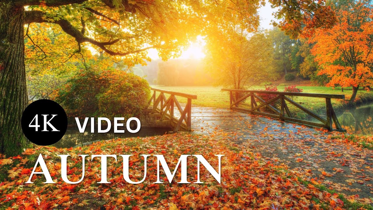 Relaxing Guitar Music for Stress Relief: 2 Hours of Autumn Scenery with ...
