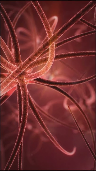 How to code Neural Networks - Activation Functions - The Basics - YouTube