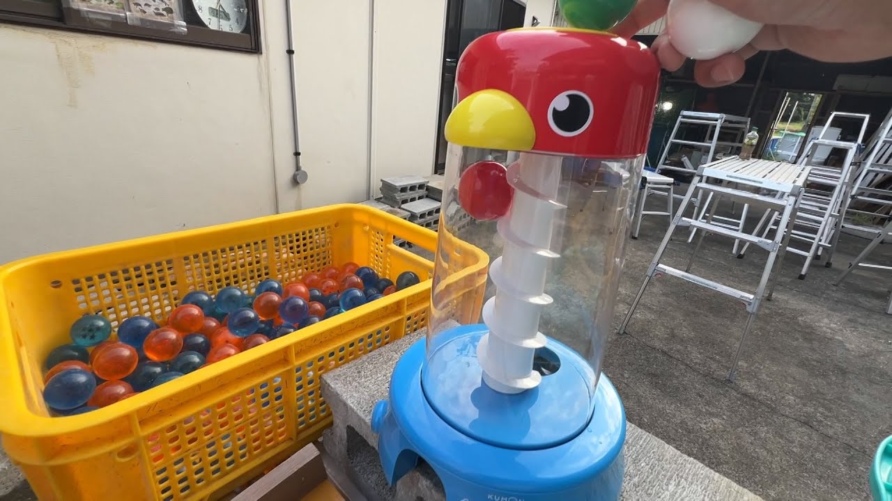 Marble run race ☆ Handmade gutter wooden course + bird marble - YouTube