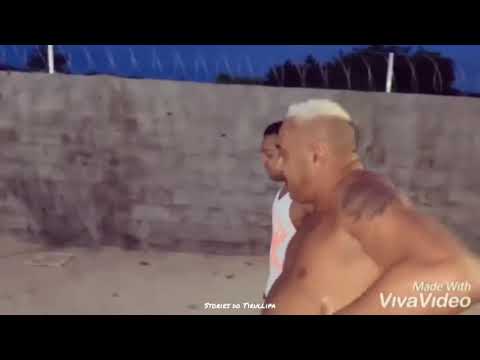 Melhores vídeos para status Tirulipa e Tiririca Inventando nomes de vizinhos🤣🤣🤣