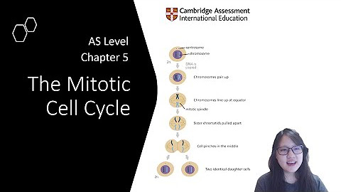 Chapter 5 - The Mitotic Cell Cycle | Cambridge A-Level 9700 Biology ...