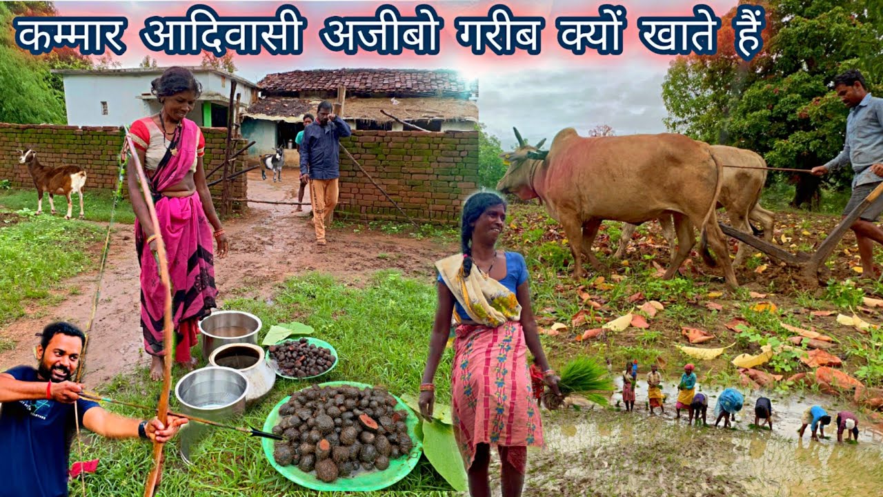 कम्मार आदिवासी जंगलों में रहने वाली अकेली जनजाति जिनके खान-पान रहन सहन ...