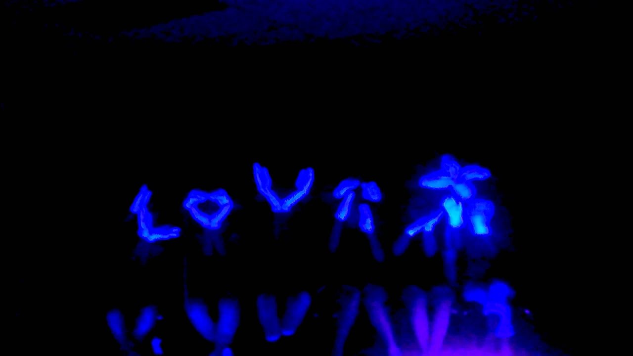 Black Light Hand Mime to "Amazing Grace My Chains Are Gone" - YouTube