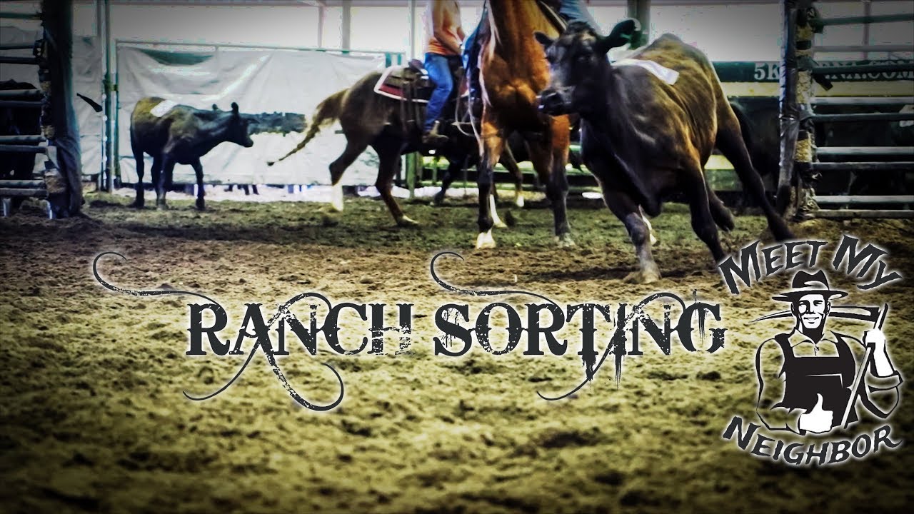 Ranch Sorting - YouTube