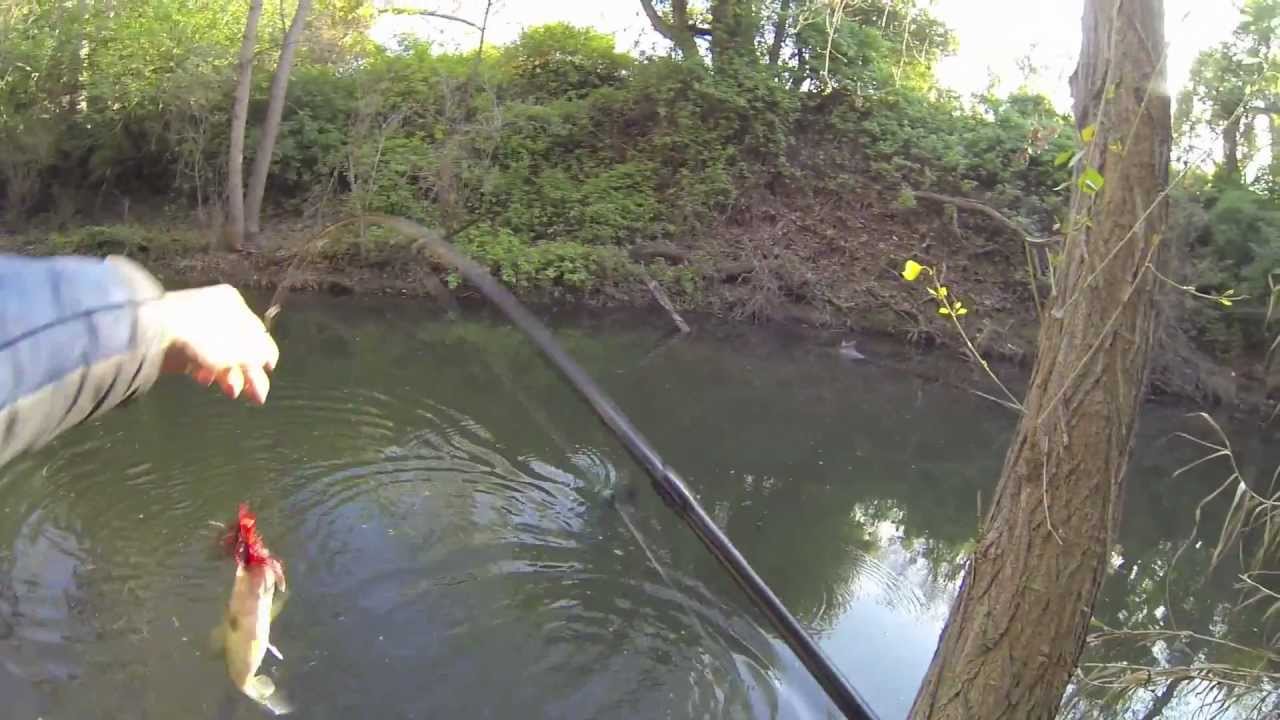 Urban Bass Fishing - Northern California Creek - Black Bass - YouTube