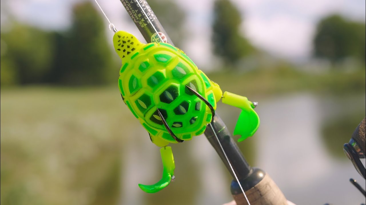 Strange Turtle Lure Challenge!! (GIANT BASS) - YouTube