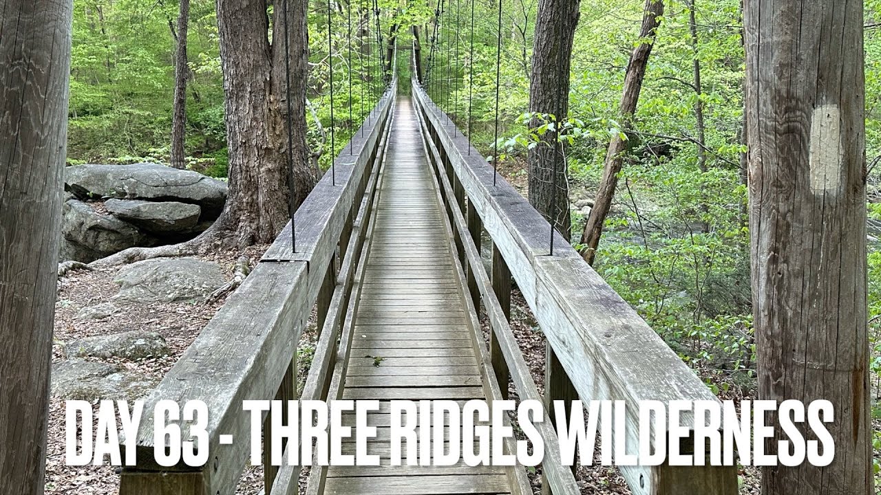 AT Thru Hike Day 63 - Three Ridges Wilderness - YouTube