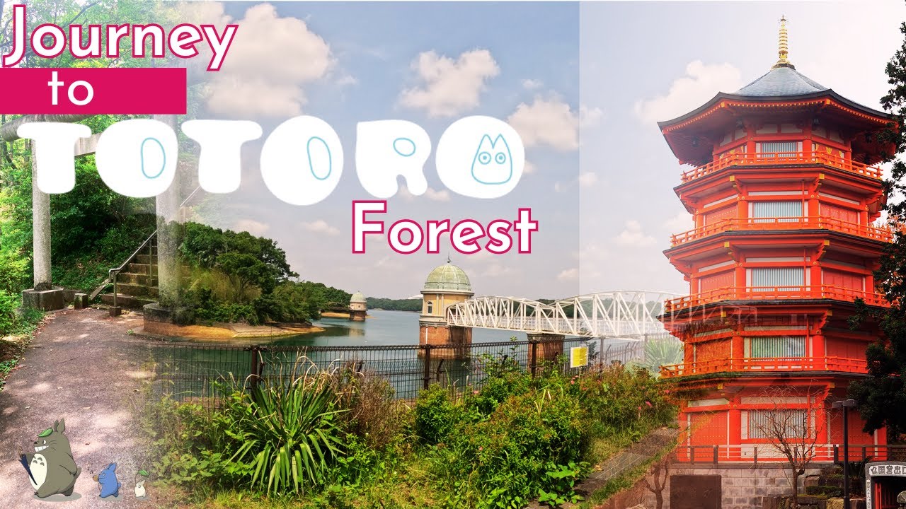 4K Journey to TOTORO's forest and Sayama Hills cycling in Saitama - YouTube