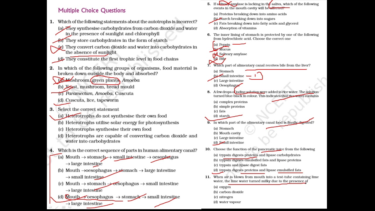 LIFE PROCESSES IMPORTANT QUESTIONS YouTube life-processes-important-questions-youtube