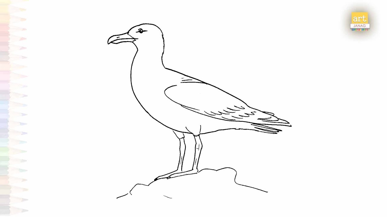Seagull easy drawings | Art tutorial | How to draw A Seagull step by ...