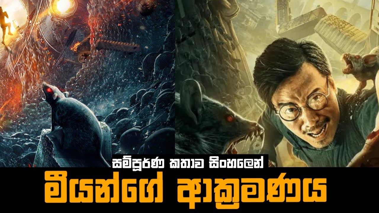මීයන්ගේ ආක්‍රමණය 🐀😱 | Rat Disaster Movie Explained in Sinhala ...