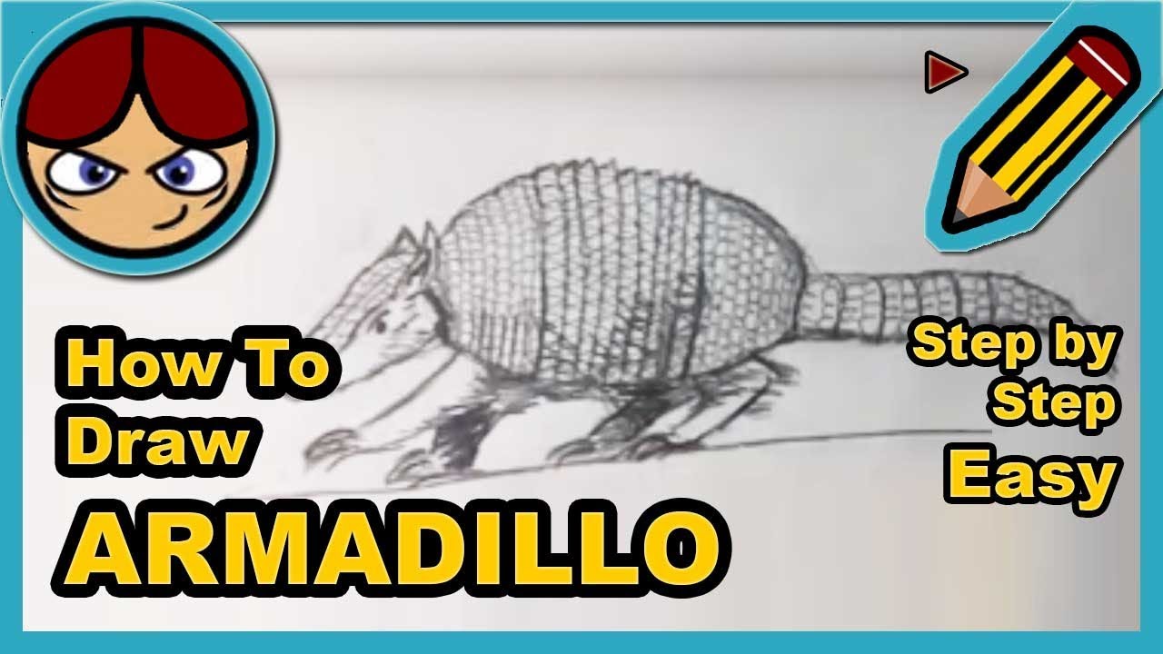 Como dibujar un ARMADILLO facil paso a paso How to draw an ARMADILLO step by step easy - YouTube