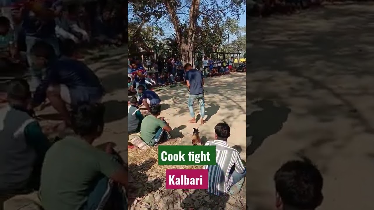 cook fight... - YouTube