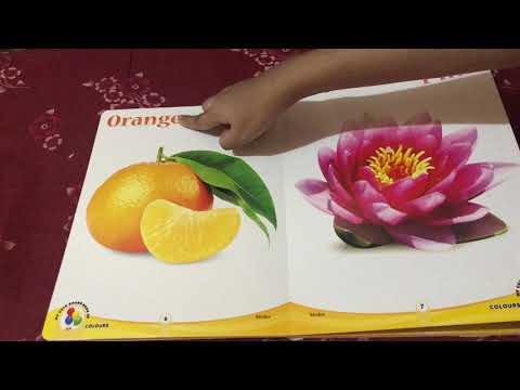 Tricolor My cute Board book of Colours with Big Pictures Detailed info ...