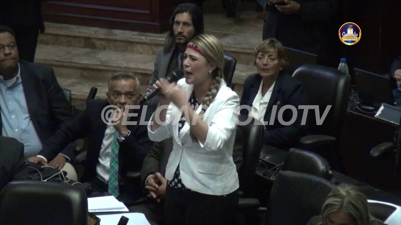 Dip. Elimar Díaz 15 01 19 - YouTube