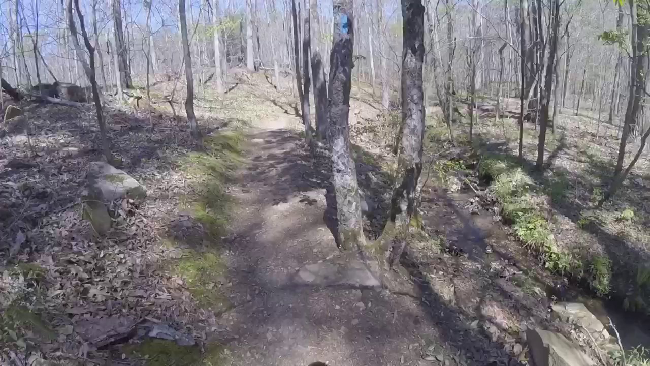Hiking at the Pine Log Creek Trail System in Rydal GA - YouTube
