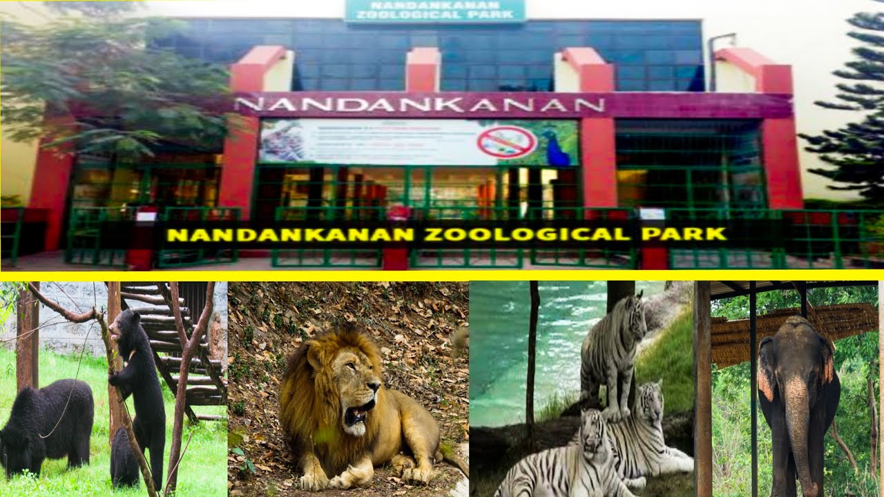 A TRIP TO NANDANKANAN (2020) || Zoological Park☝️🏻 - YouTube