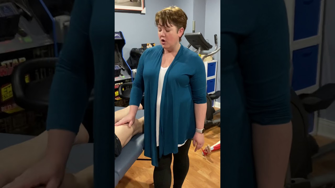 Muscle Palpation- TFL to quad - YouTube