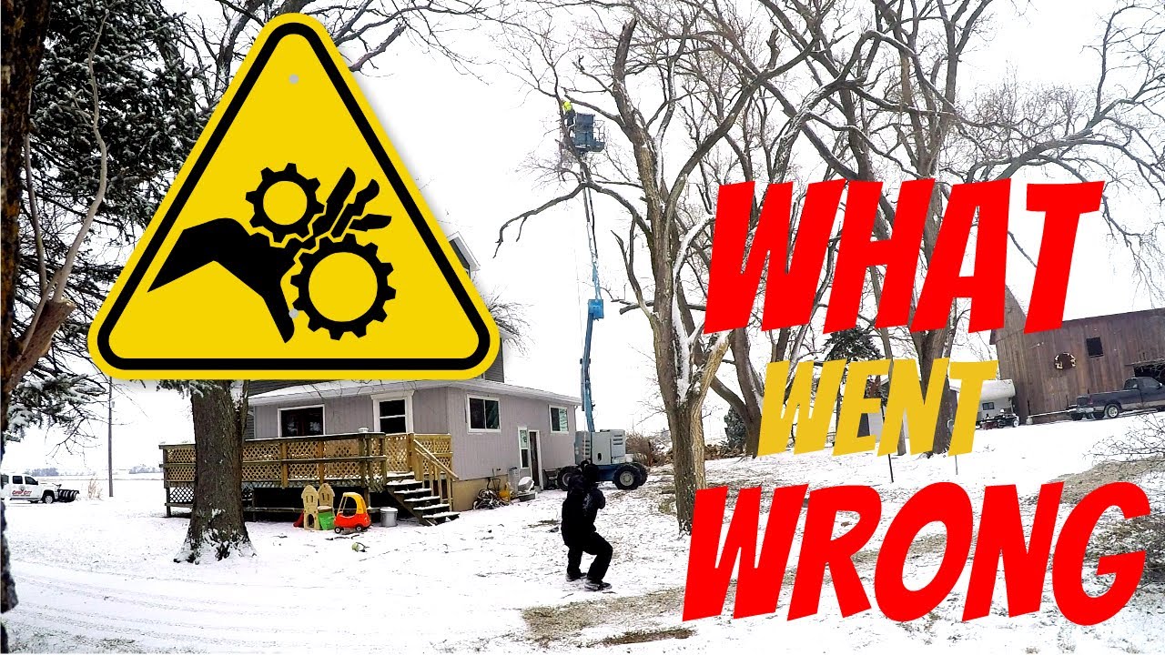 What Went Wrong tree trimming at the compound Our first accident! - YouTube