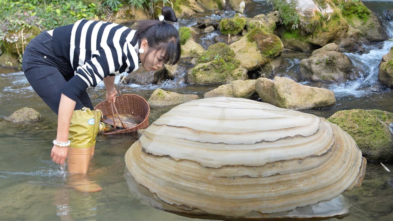 River Treasure Hunt: Teen Finds Rare Mutated Clam Holding Priceless ...